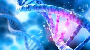 Polyp là gì? 10 bệnh Polyp - Nguyên nhân, triệu chứng