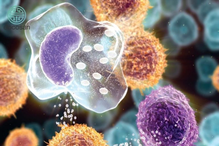 Hệ miễn dịch là gì? Làm gì để tăng cường hệ miễn dịch?