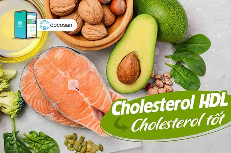 Chỉ số HDL cholesterol là gì? Làm sao để có HDL tốt nhất? | Doctor có sẵn