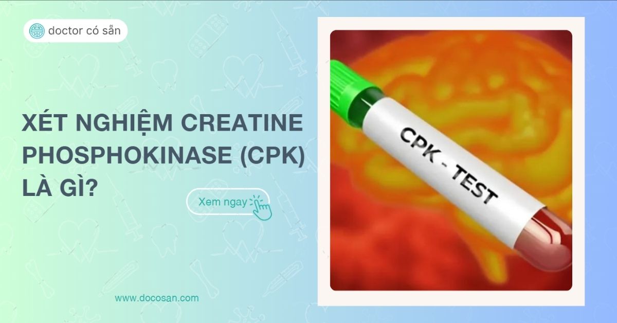 Chủ đề: chỉ số cpk trong máu | Doctor có sẵn Blog